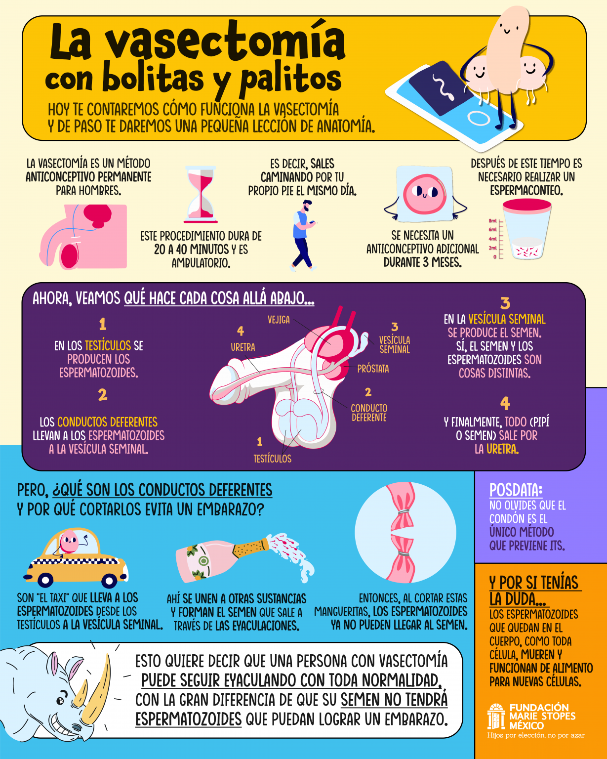 Precio de la Vasectomía en CDMX - Marie Stopes México